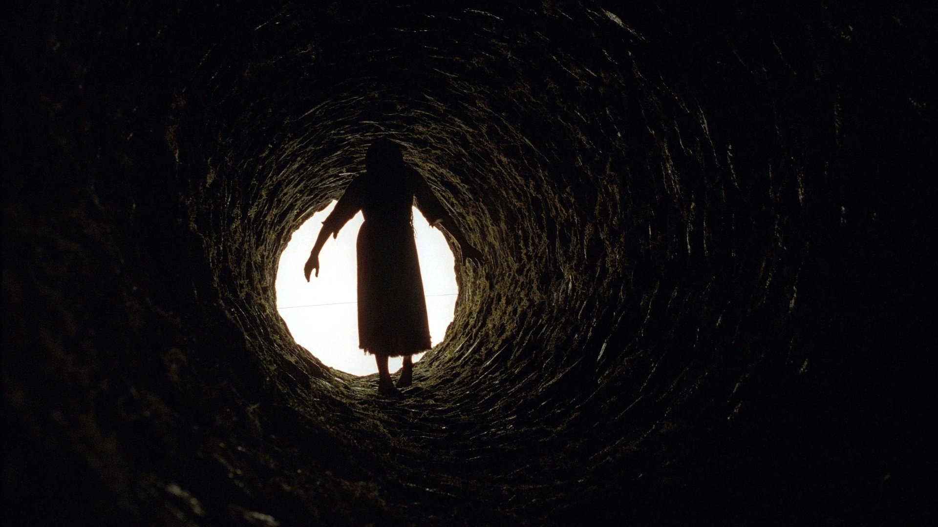 KRĄG 2 (1999), RING 2 (2005). Amerykańska zemsta po latach